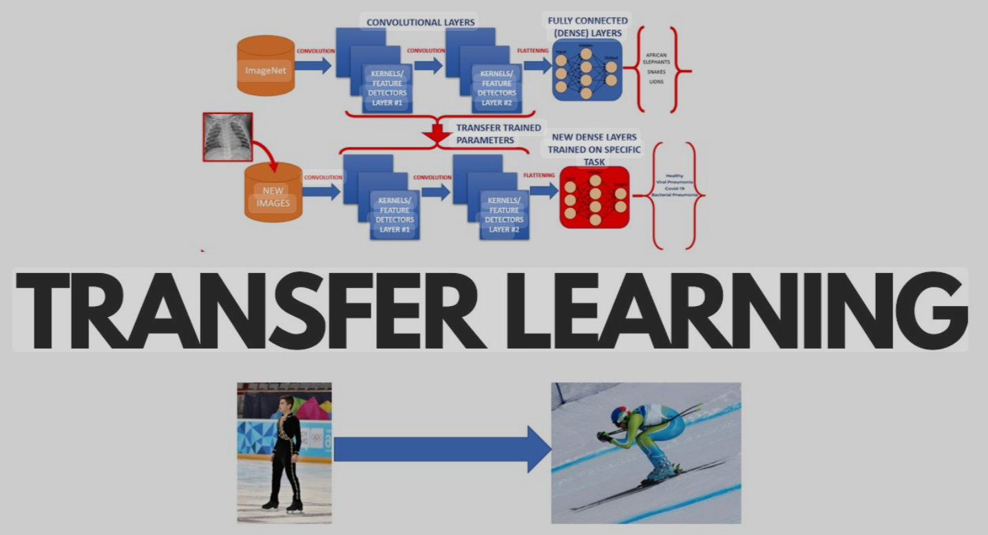 TL for BO | Hugo Academic CV Theme